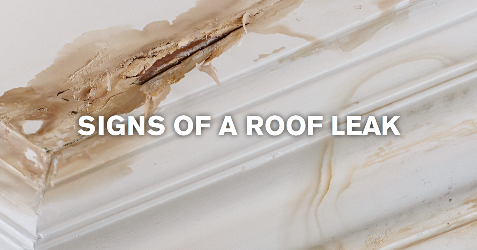 Neighborhood Roofing Signs of a Roof Leak